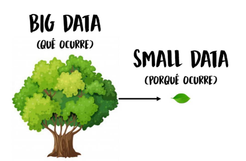 El Éxito de la Small Data en la Consultoría de Business Intelligence.